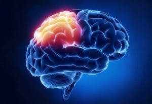 How to Recover from Parietal Lobe Damage - Flint Rehab