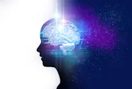 How Does The Brain Repair Itself After A Traumatic Injury How Does The Brain Repair Itself After A Traumatic Injury