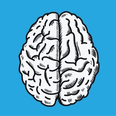 Prefrontal Cortex Damage: What to Expect & How to Recover